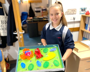 Jo Richardson Community School | Scarlett Harding 7H